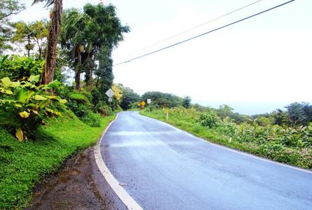哈纳公路Hana Highway_八大洲旅游